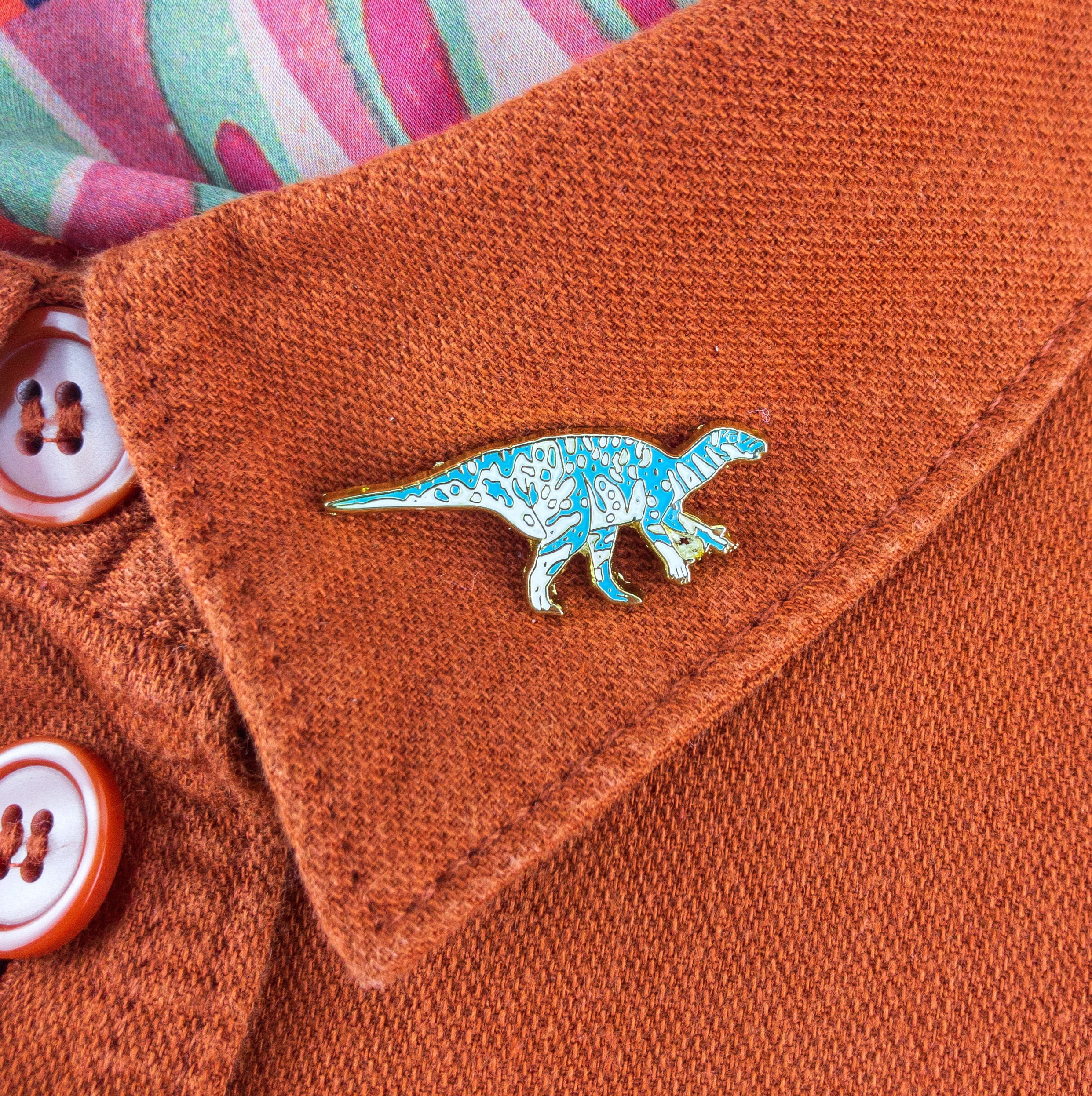 Enamel Pin Set Dinosaurs Dinosaur Pins Badges T Rex Skull - Etsy