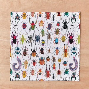 Insect Handkerchief Pocket Square, Beetle, Hankies, Wedding ...