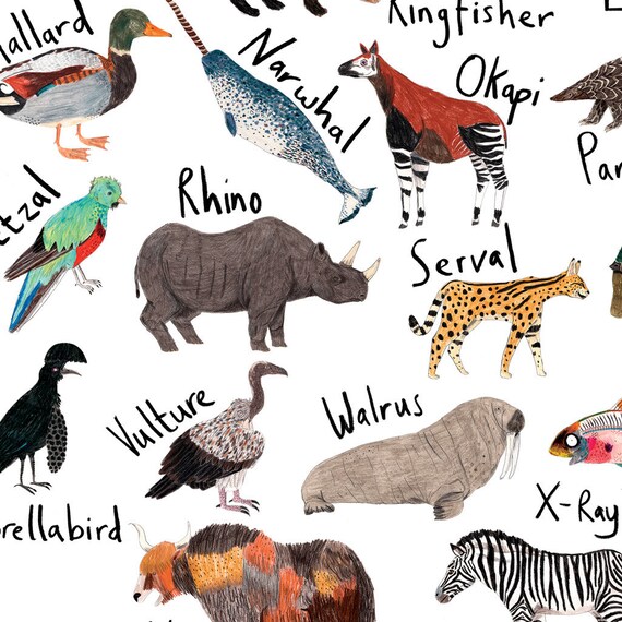 African Animals In Alphabetical Order