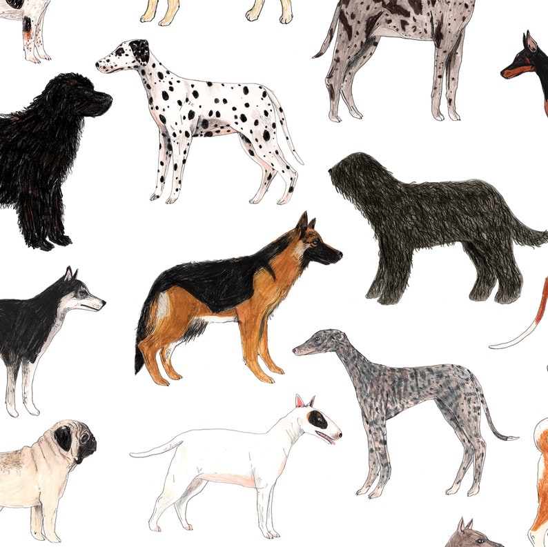 Dog Wall Art Print, Gift for Dog Lovers, Dog Breed Print, Giclee Print ...