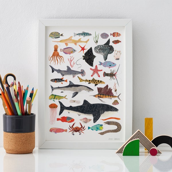 Sea Life Art Prints - Etsy