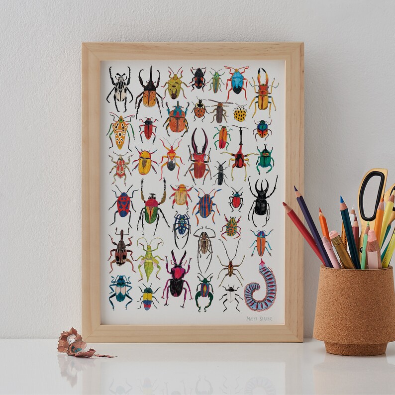 Bug Print Insect Print Insect Art Beetle Print Kids Room - Etsy UK
