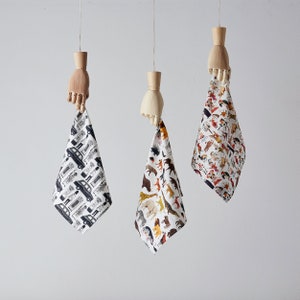 Insect Handkerchief Pocket Square, Beetle, Hankies, Wedding ...