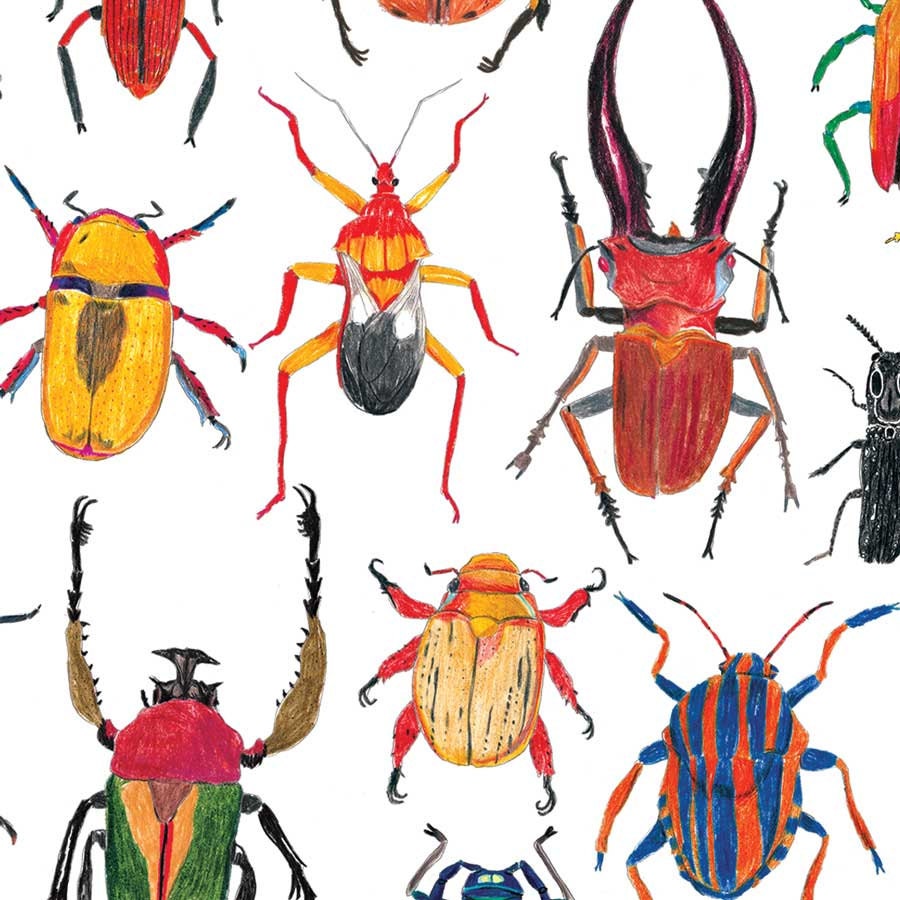 Bug Print Insect Print Insect Art Beetle Print Kids Room - Etsy