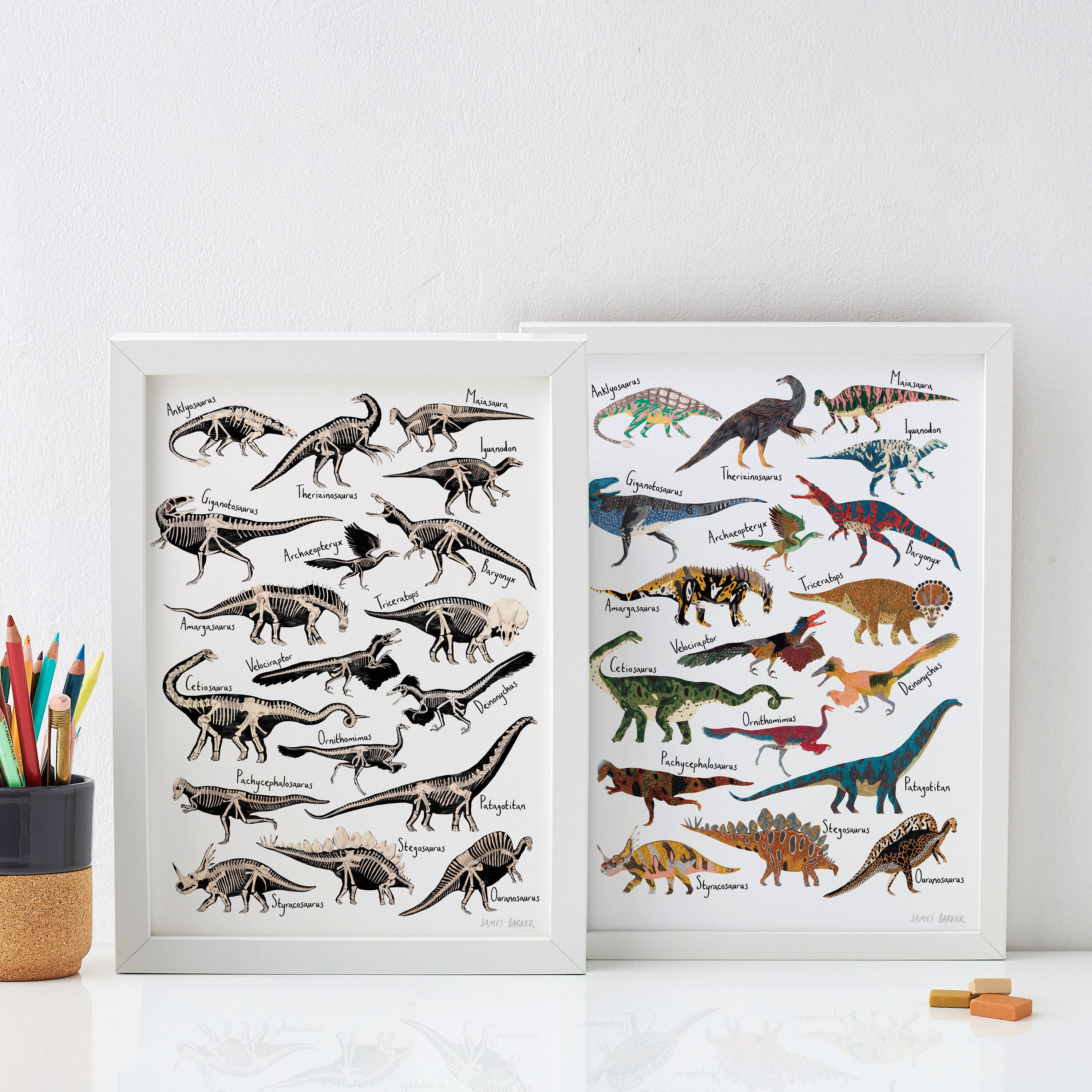 Dinosaurs Fossils For Kids