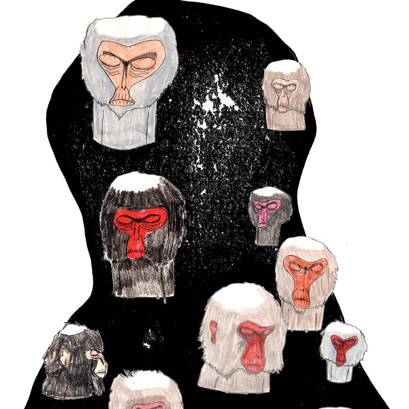 Monkey Wall Art Monkey Print Animal wall art A4 Macaque | Etsy