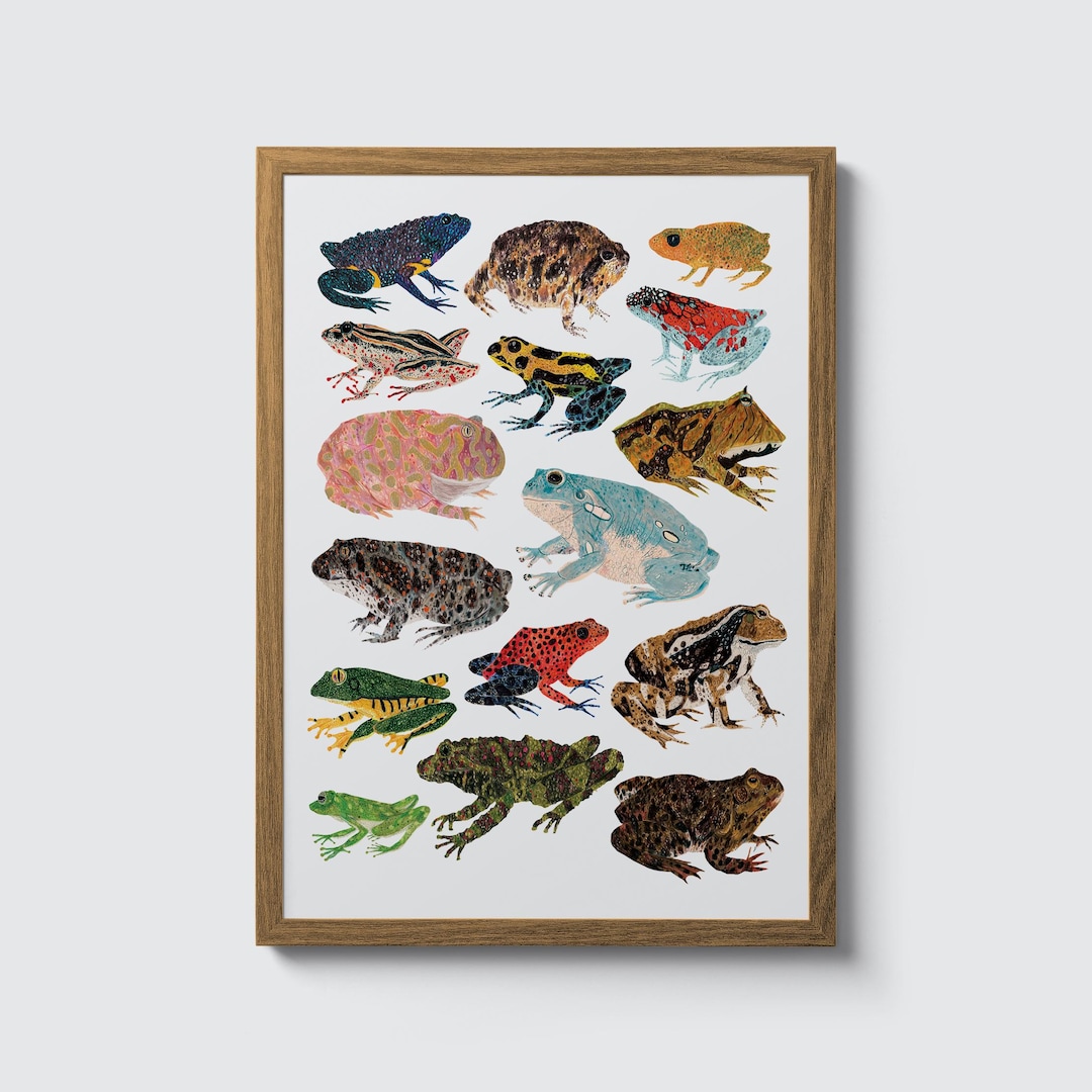 Frogs Print, Toad Wall Art, Amphibian Gift, Home Decor, Birthday Gift ...