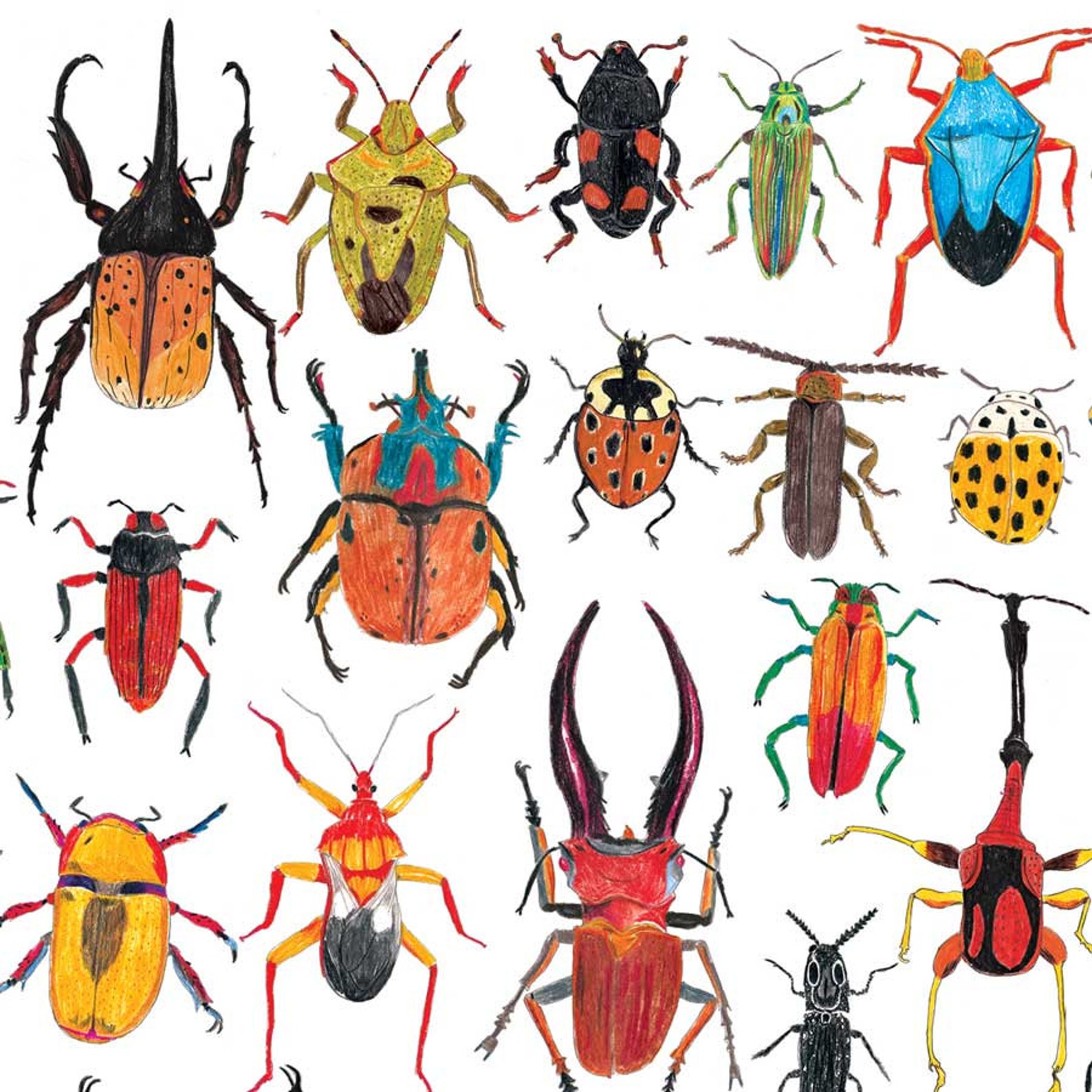 Bug Print Insect Print Insect Art Beetle Print Kids Room - Etsy UK