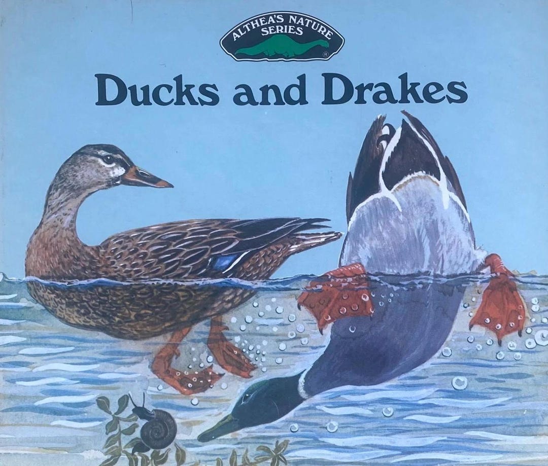 Vintage Children’s Book ‘ducks and Drakes’ by Althea 1982 - Etsy