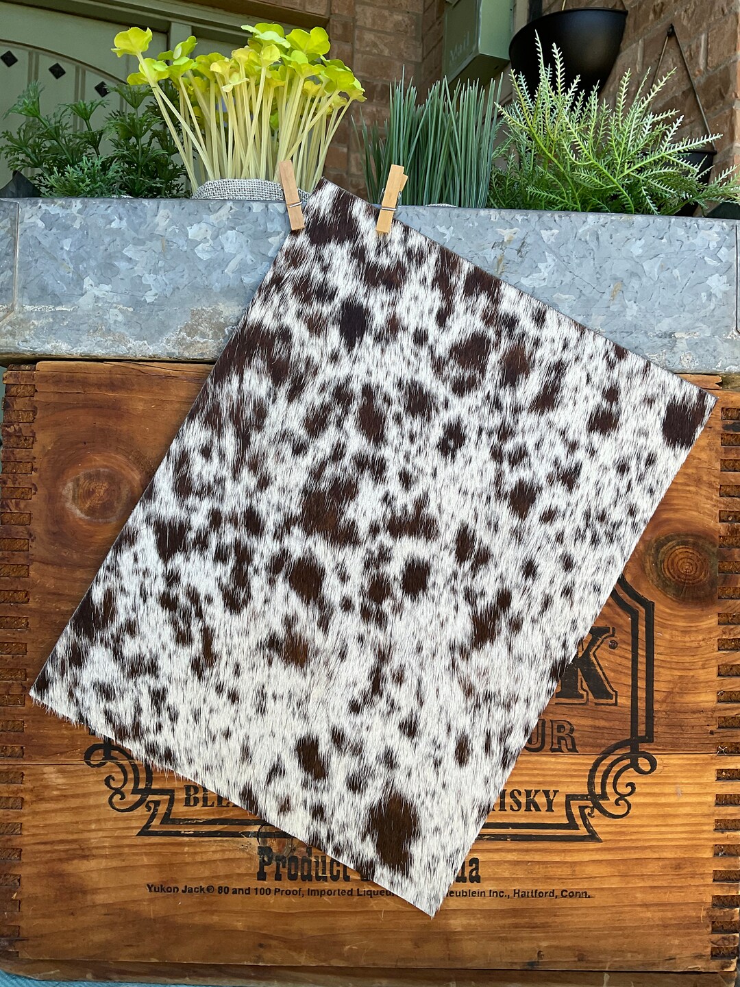 C18 / 8.5x11 Dark Chocolate Brown and White Hair on Hide Cowhide ...