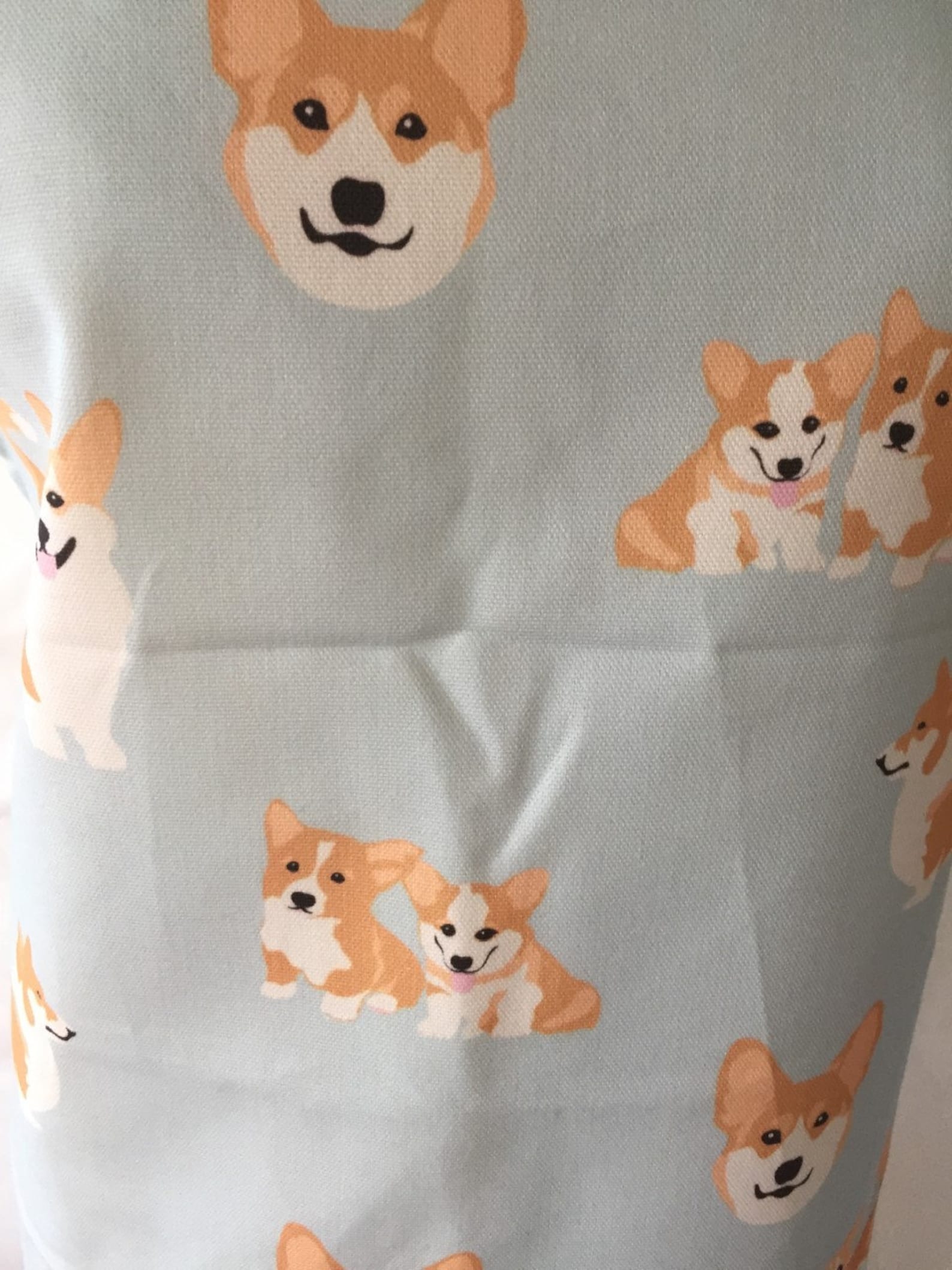 Corgi Dog Apron Dog Apron Corgi Accessory Corgi Dog Gift | Etsy UK