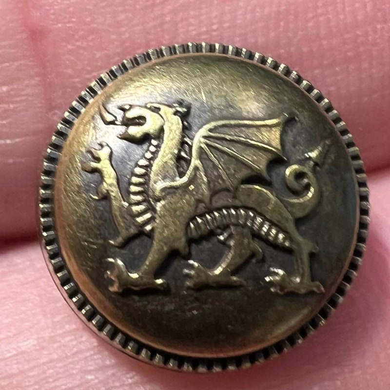 Antique Button Dragon - Etsy