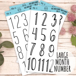 Large Month Number Stickers for Planners, Organizers and Bullet ...