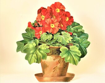 Florist Card Display - Etsy