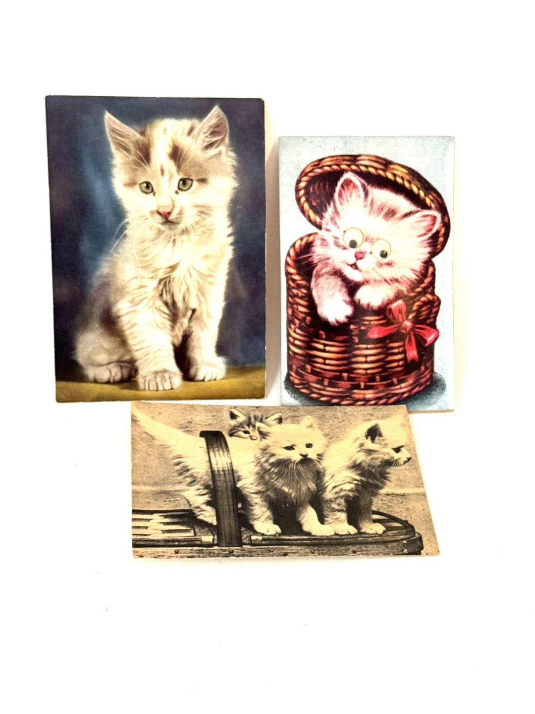 3 Vintage Squeak Cat Post Cards - Etsy