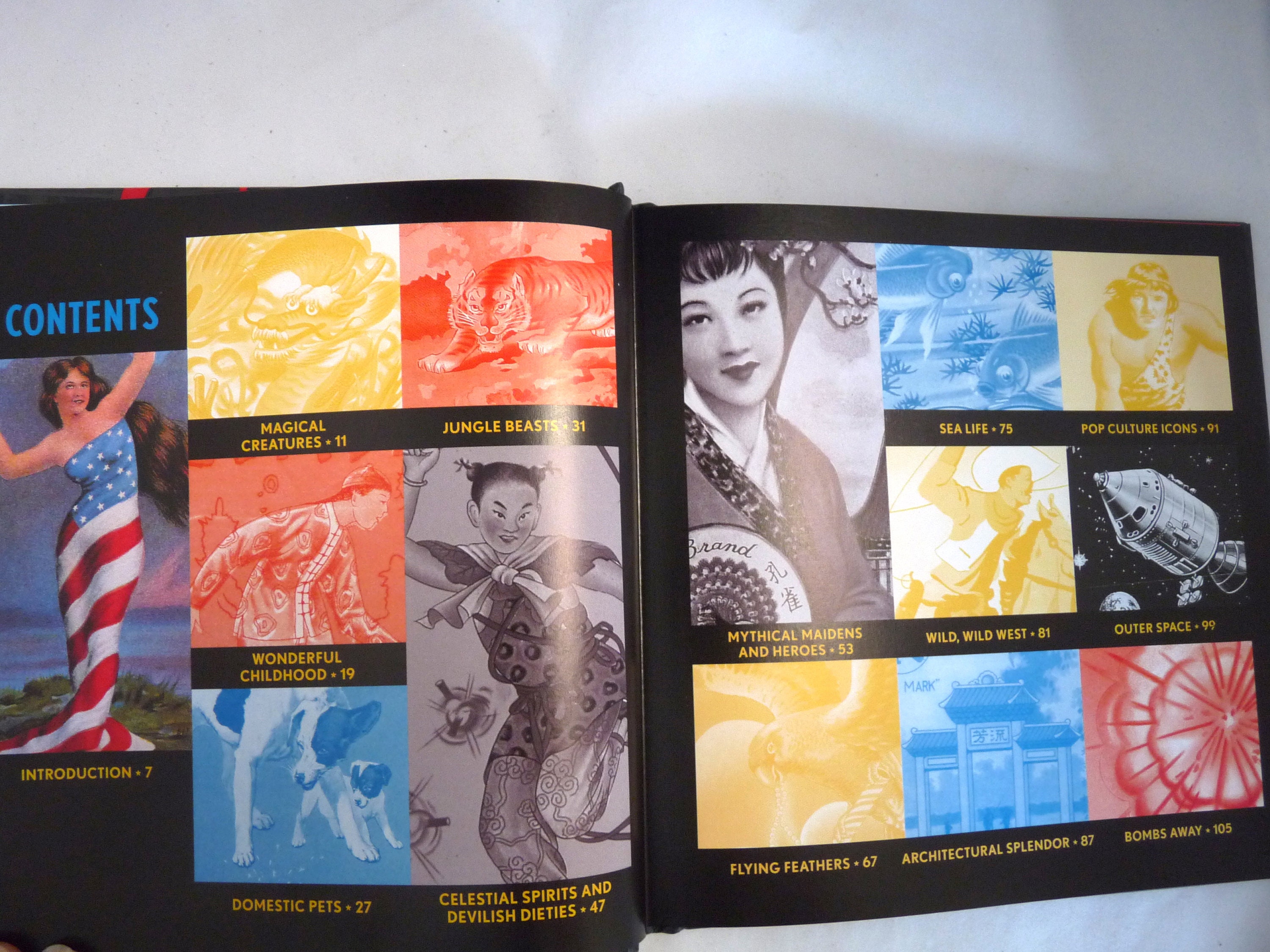 Firecrackers Eye Popping Collection Chinese Firework Art Book - Etsy