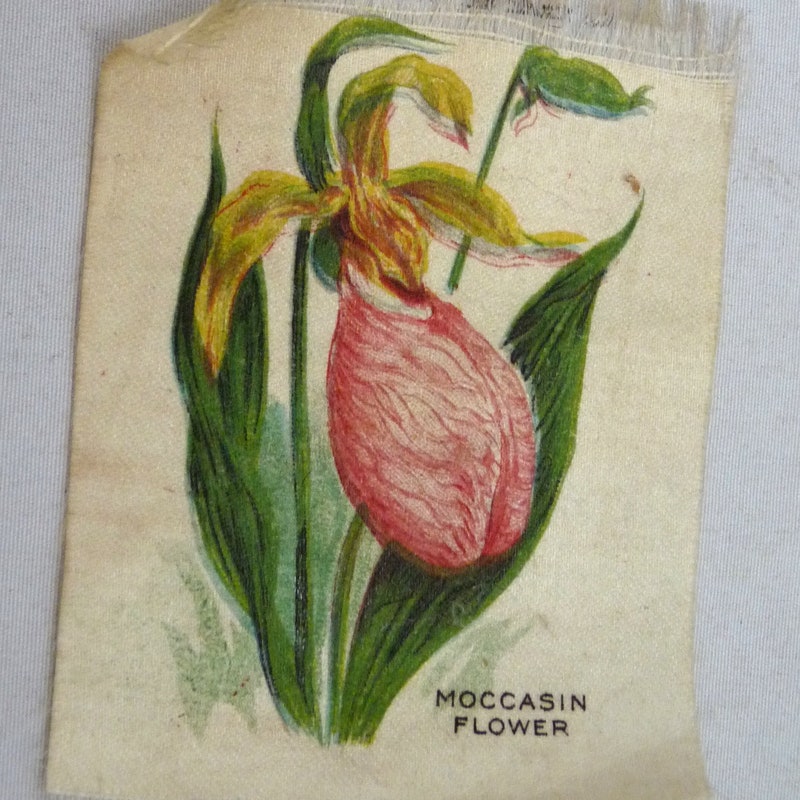 Pink Lady's Slipper - Etsy
