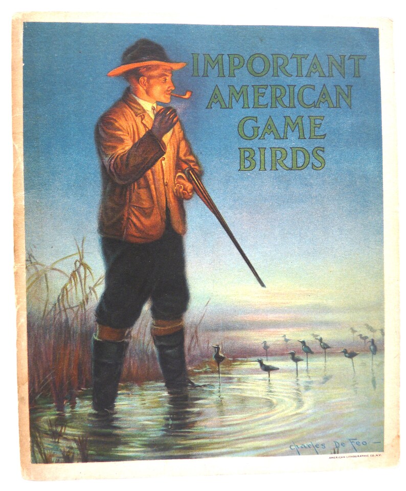 Important American Game Birds Dupont Advertising Book Antique - Etsy