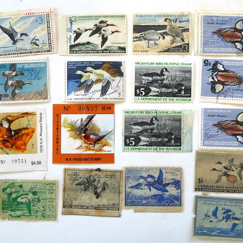 Vintage Bird Stamps - Etsy