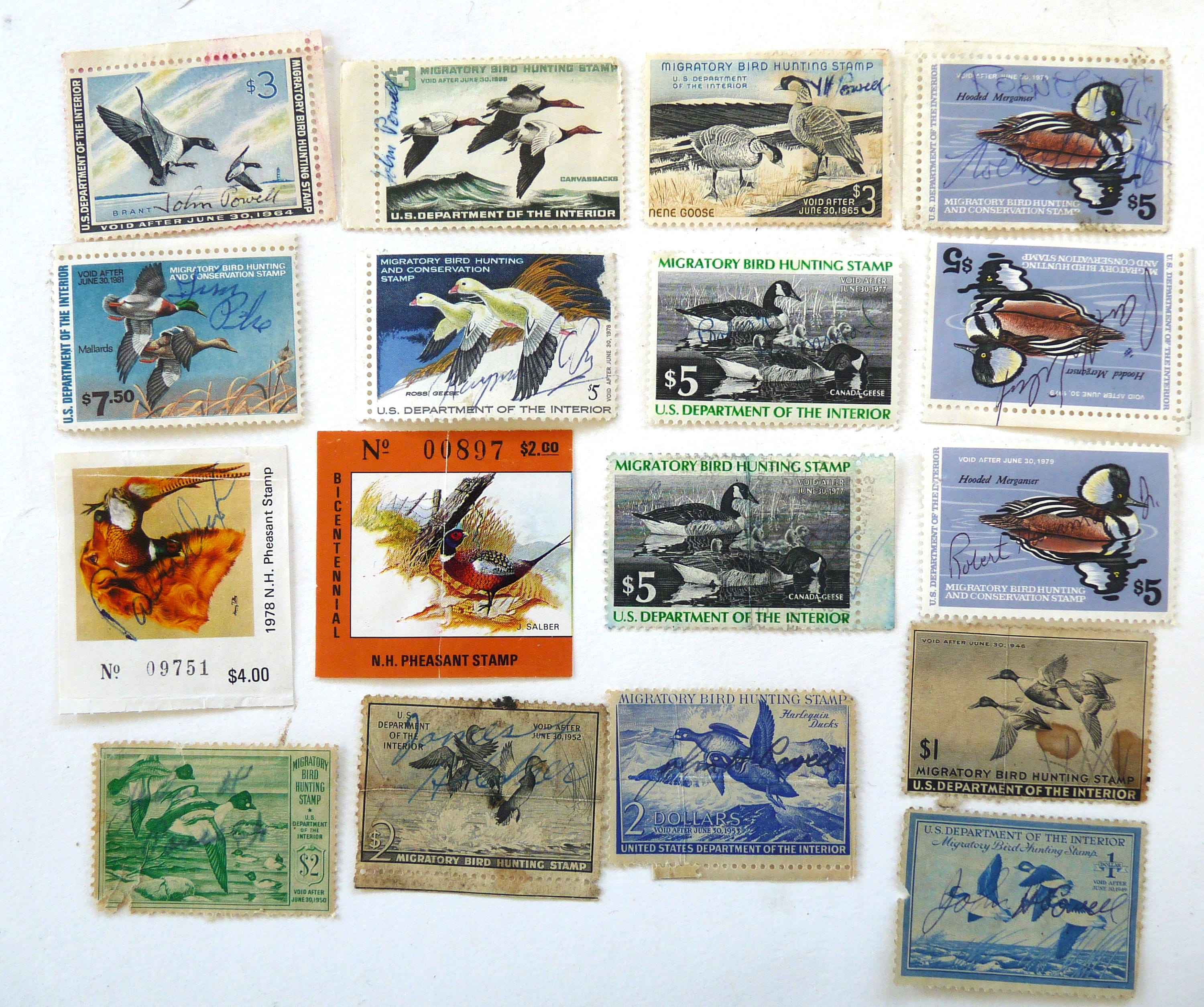 15 Vintage Duck Hunting Stamps US 50s - 80s Birds Migratory NH Sporting ...