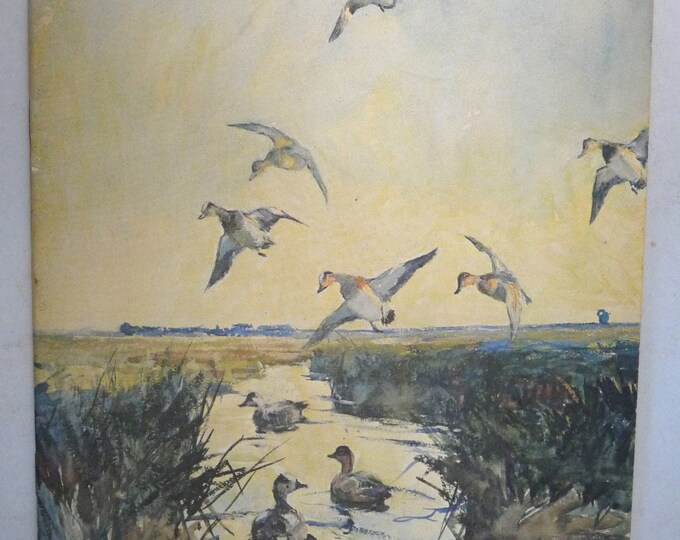 Frank Benson Exhibition Catalog Paintings Drawings Prints Farnsworth ...