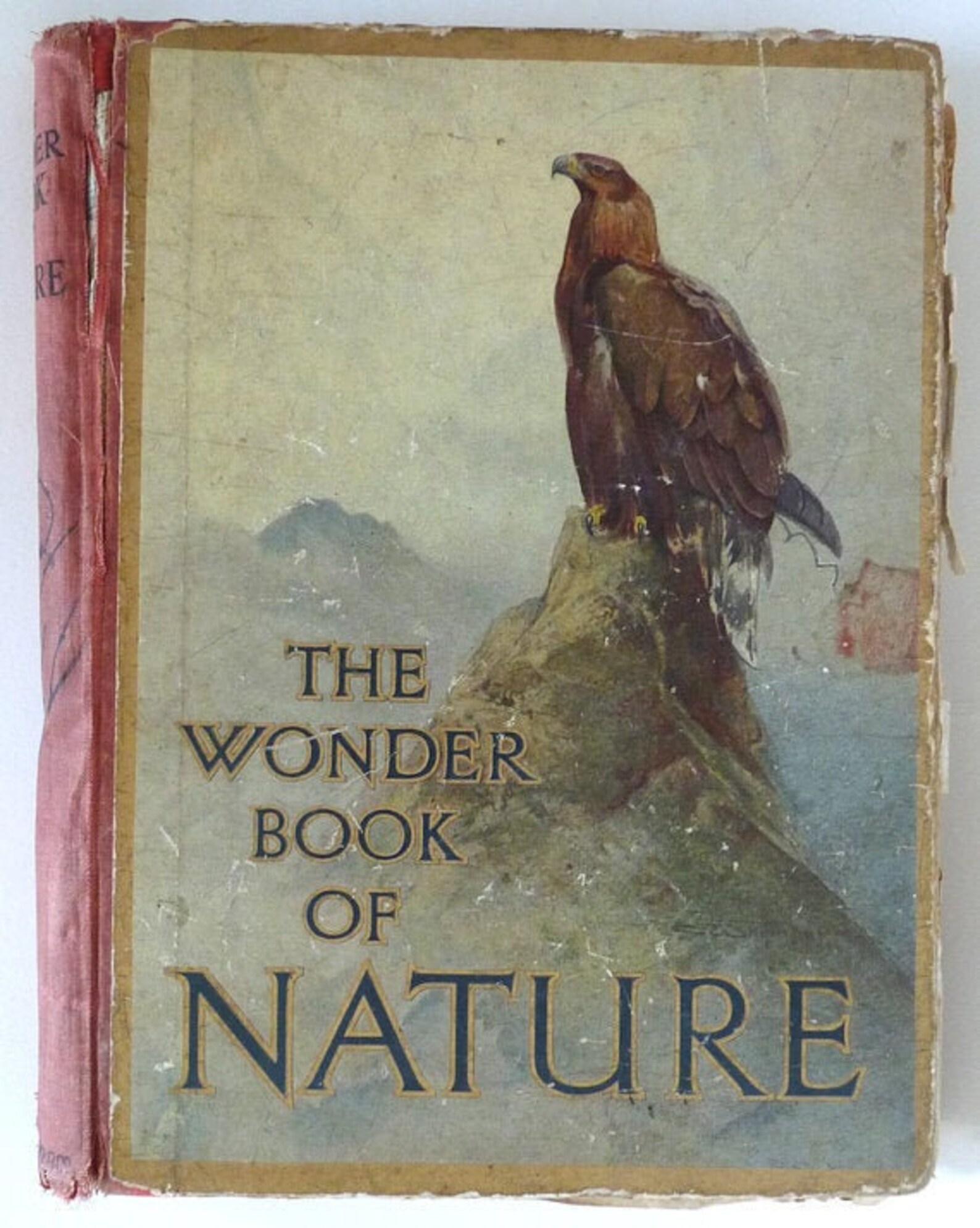 Wonder Book Nature Boys Girls Golding Vintage Children's Book Animals ...