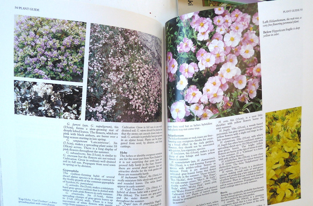 Rock Gardens Alpine Plants Joyce Book Vintage Gardening Landscap Nature ...