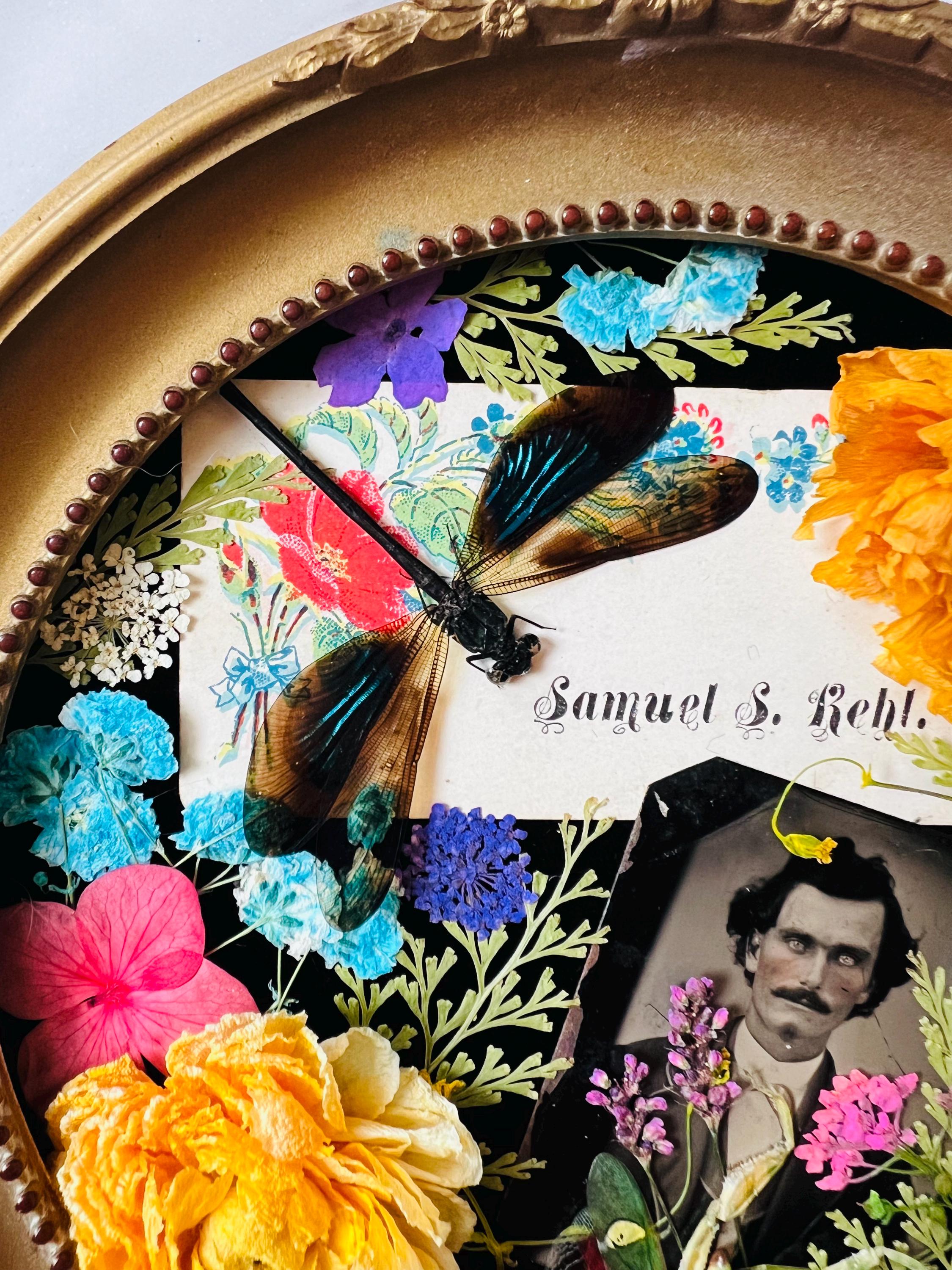 Real Insect Art; Real Dragonfly Mantis; Antique Bubble Convex Frame ...