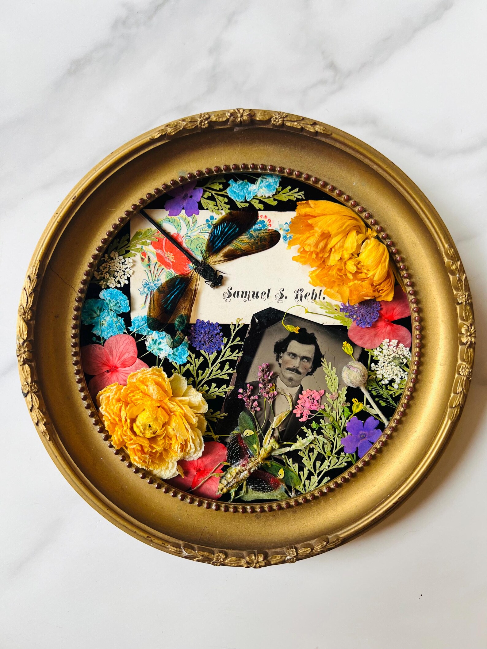 Real Insect Art; Real Dragonfly Mantis; Antique Bubble Convex Frame ...