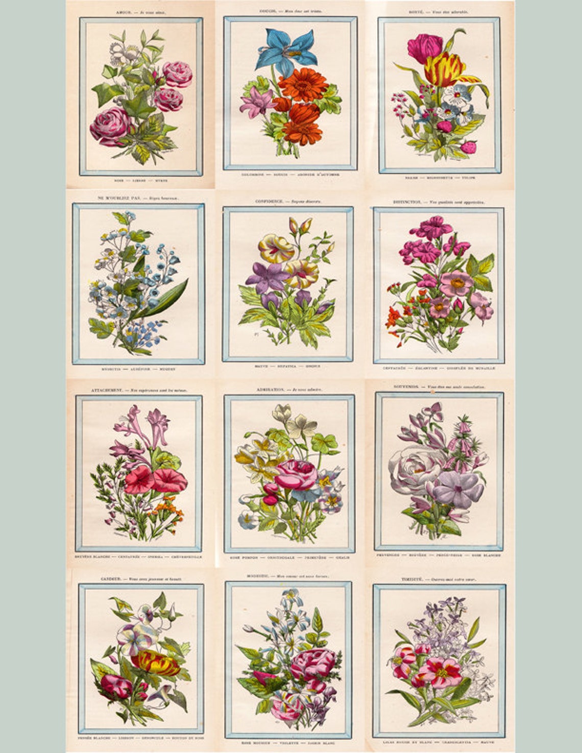 The Vintage French Flower Shop Ephemera clip Art Digital Collage Sheet ...