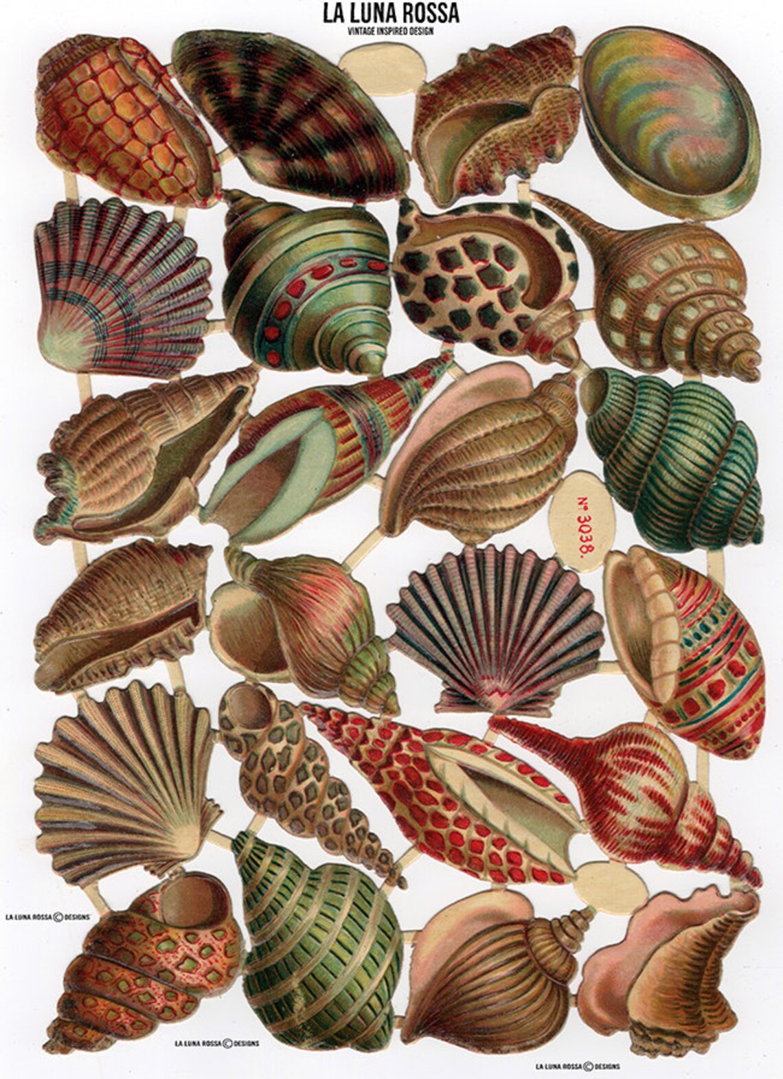 Vintage Color Paper Seashell Cutouts Spring Ocean Clip - Etsy