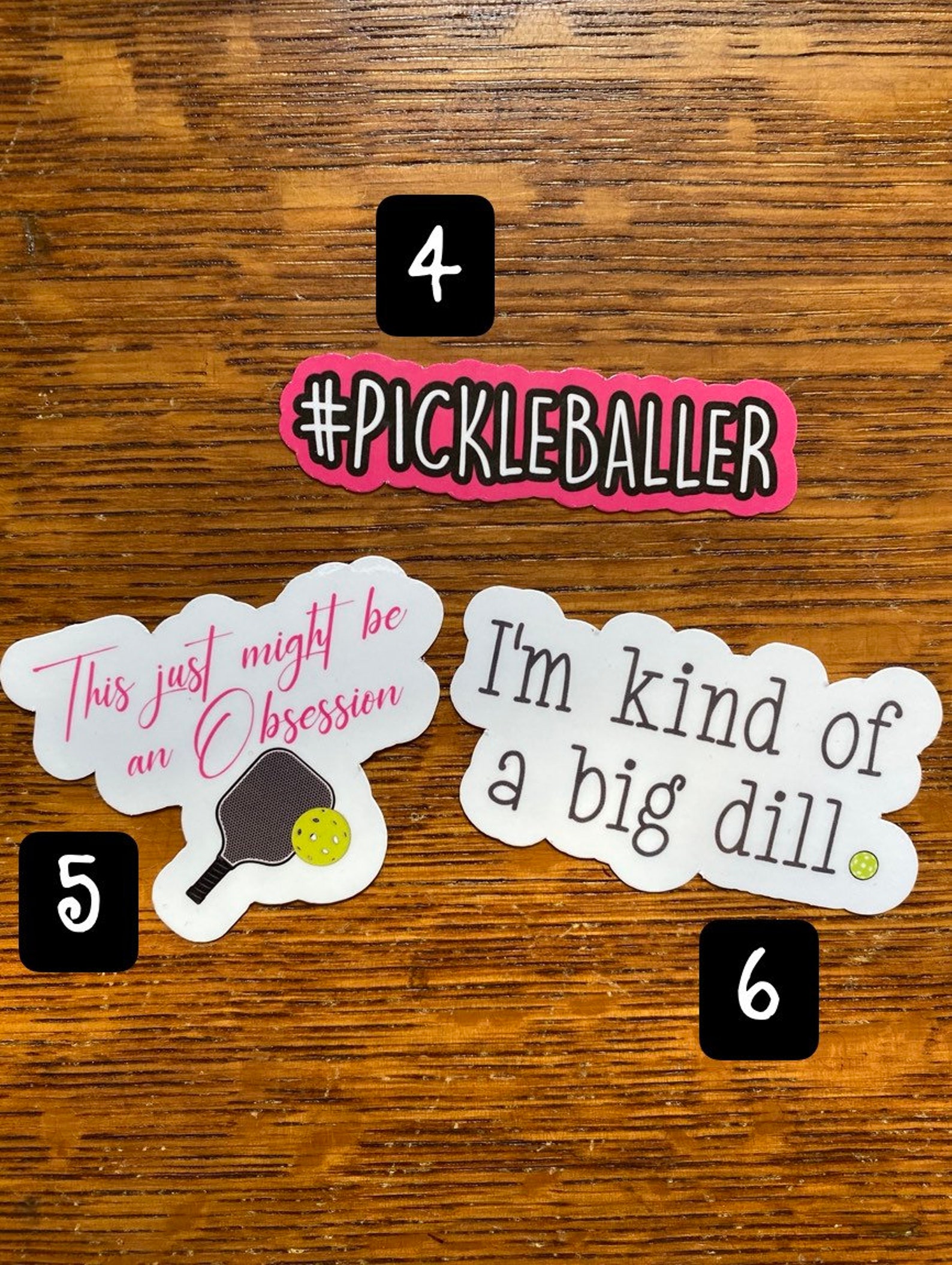 Pickleball Diecut Vinyl Stickers YOU PICK Pickleball Water - Etsy