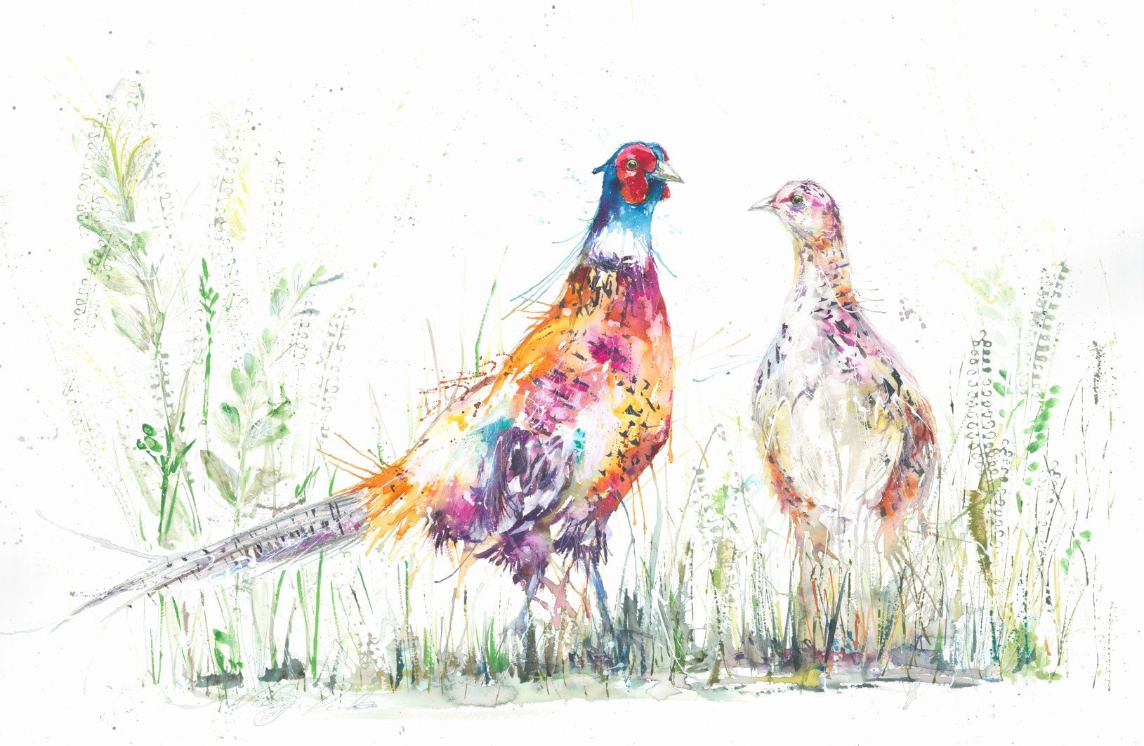 Wildlife Pheasant Greetings Card Art Card Watercolour Print - Etsy UK
