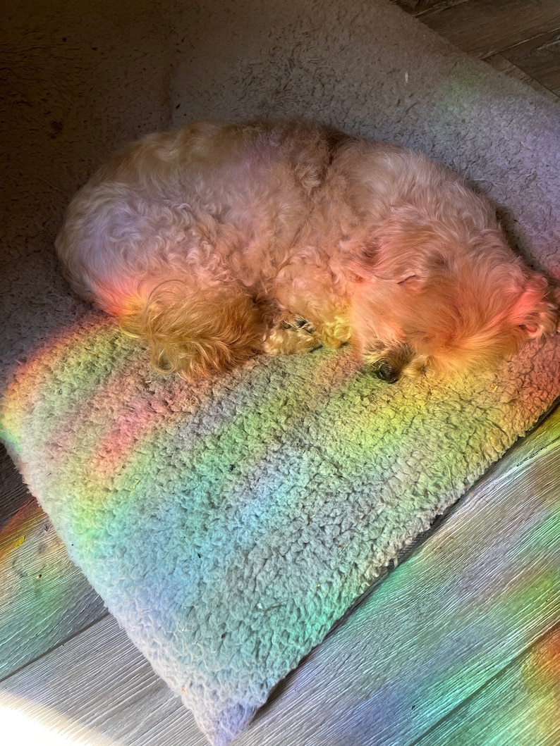 Sea Life Window Clings. Shark, Dolphin, Seahorse, Shell Sun Catcher ...