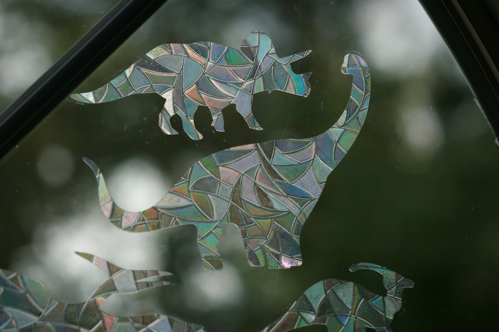 Dinosaur Window 7 Clings. Window / Room Decor. Sun Catcher. | Etsy