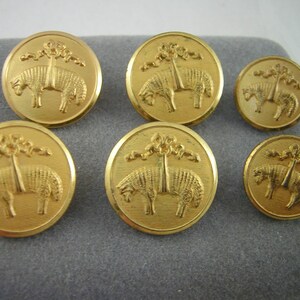 8 Vanity, Designer Logo Buttons, Brass, Brooks Golden Fleece, Brothers ...