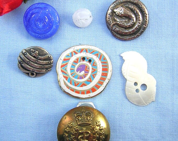 7 Snake Buttons, Various Materials, Reptile Buttons, Cobra, Medical ...