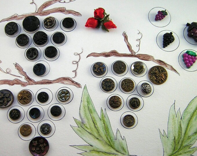34 Grape Buttons on Theme Collector Card, Fox & Grapes, Black Glass ...