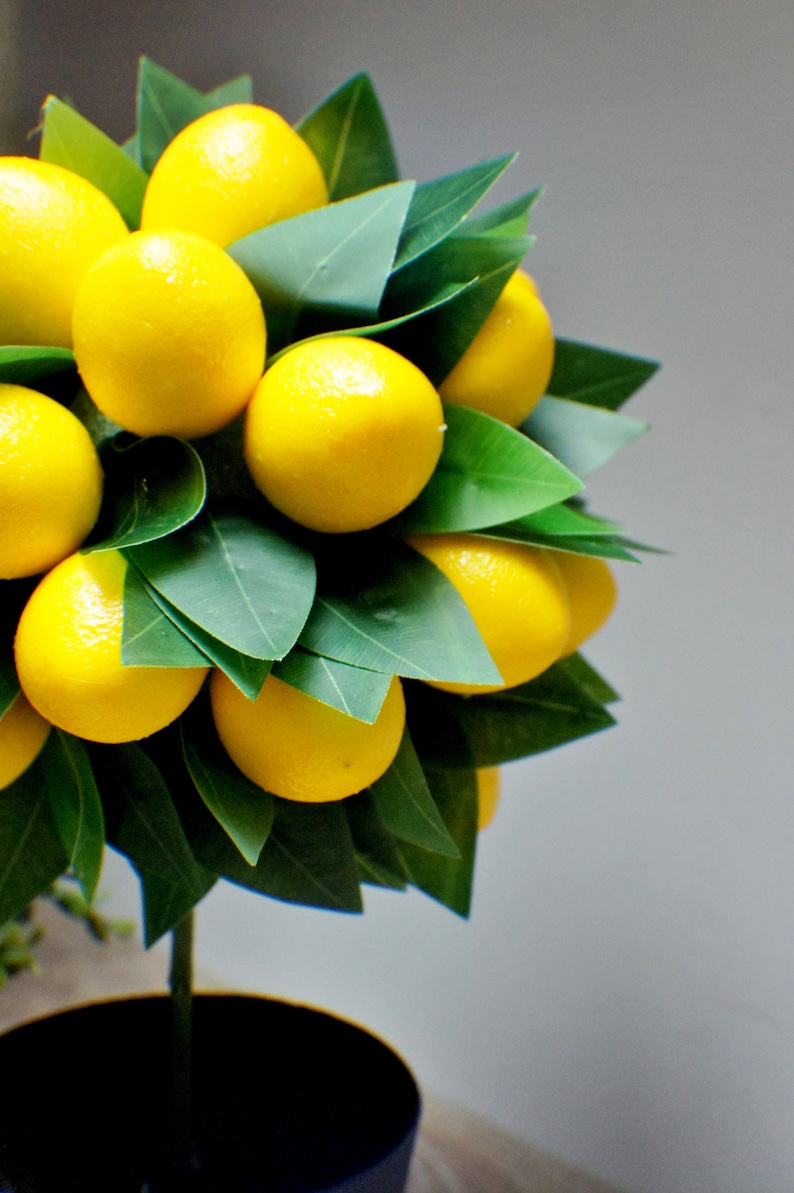 Lemon Tree Topiary, Farmhouse Arrangement, Lemon Tree and Greenery ...
