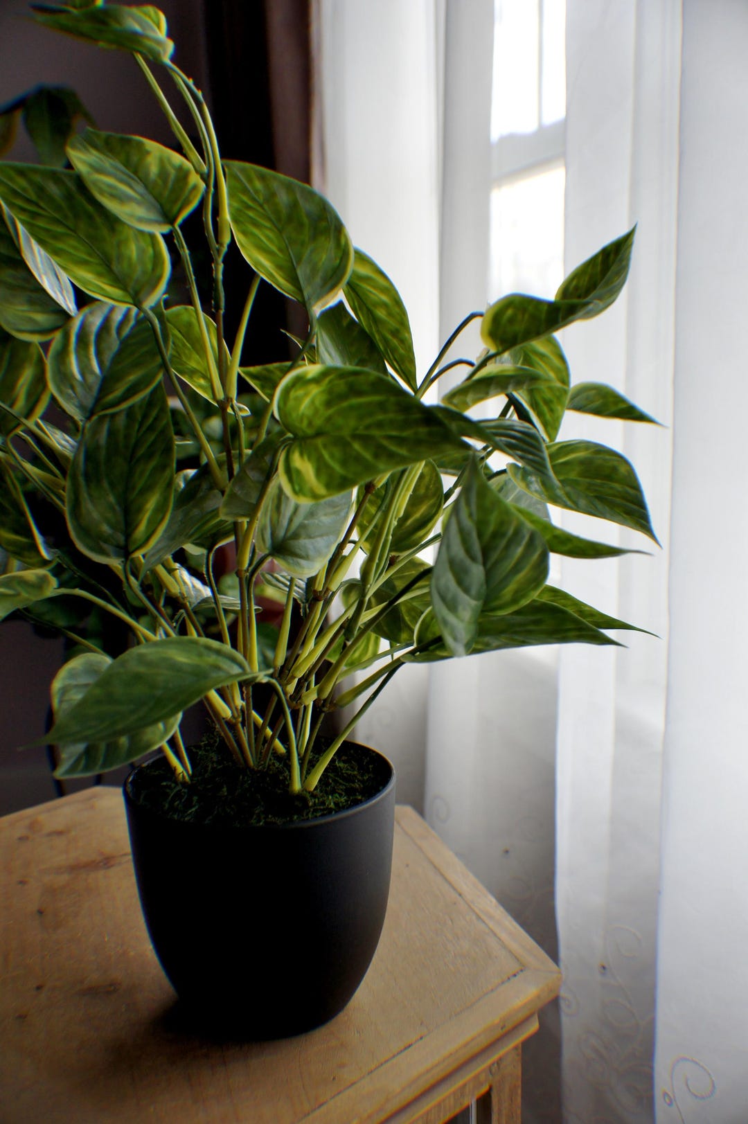 Ficus Farmhouse Arrangement: Real Touch Rosemary Table Centerpiece - Etsy