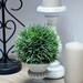 Everyday Greenery Sphere Topiary, Arrangement, Farmhouse Arrangement ...
