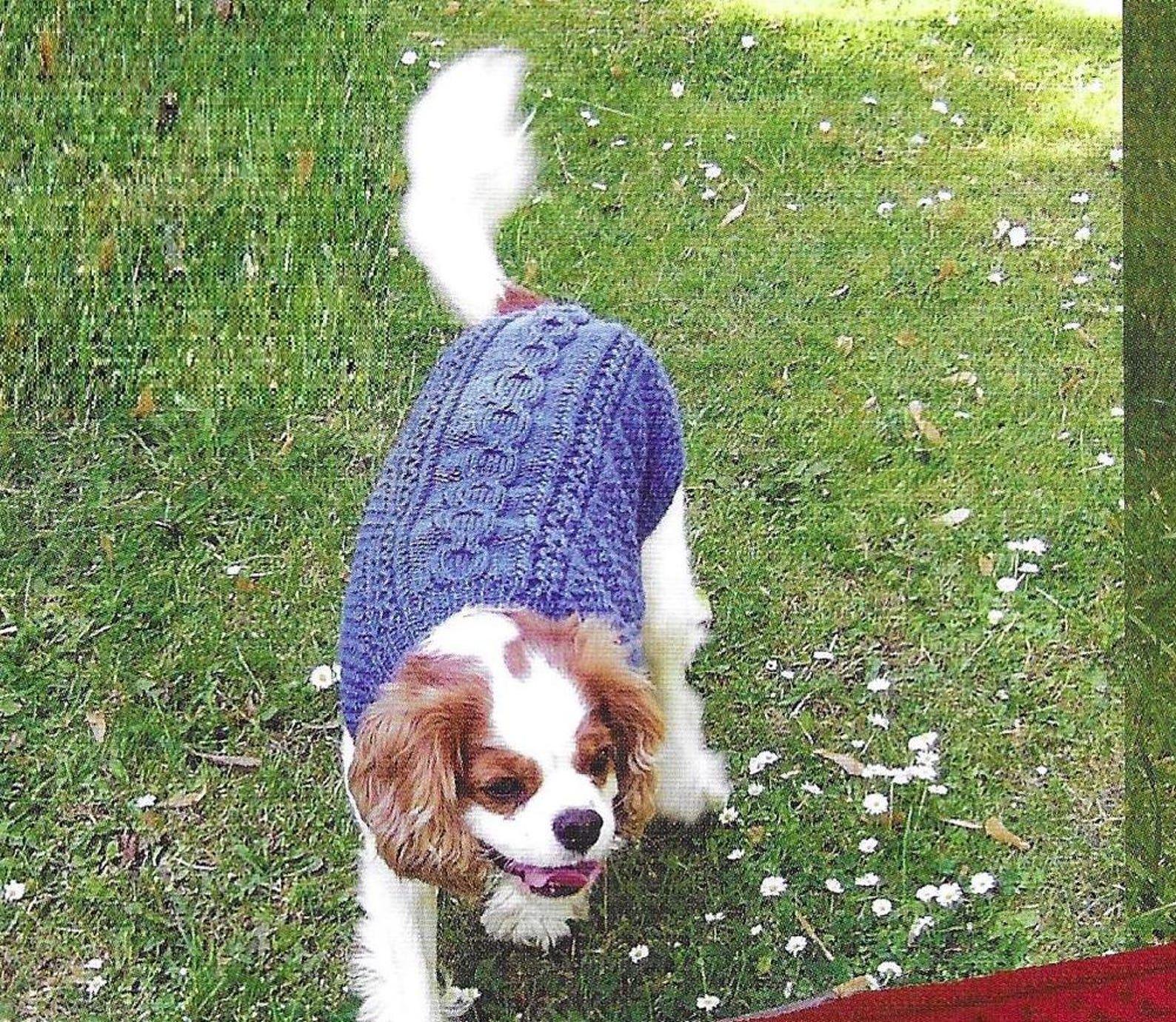 Dog Coat & Blanket Knitting Pattern: Cable Knit (PDF Pattern) - Etsy