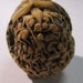 VERY RARE Walnut With Monkeys Exquisitely Detailed Carving One of A ...