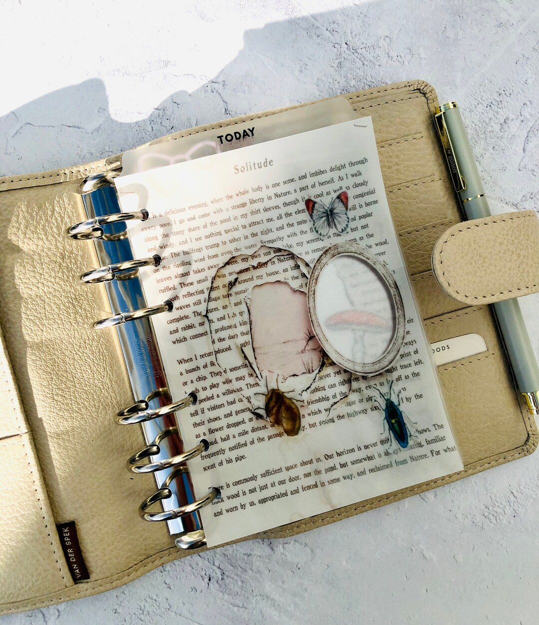 Into the Woods Planner Dashboard, Layered Option, Woodland Theme - Etsy