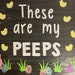 These Are My PEEPS Bulletin Board Cut Out - Etsy