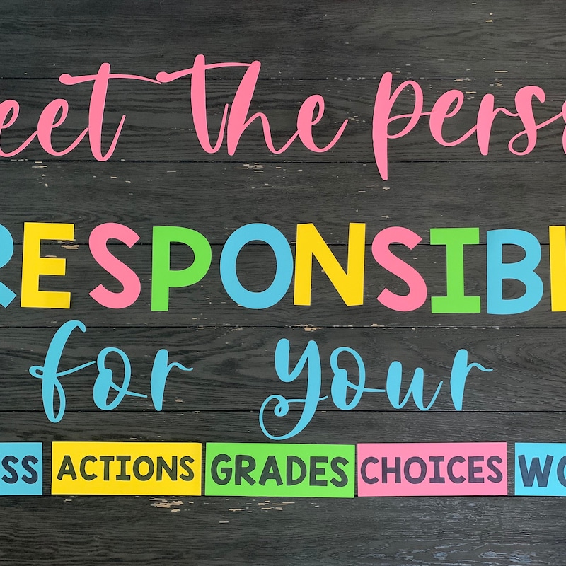 Meet the Person Responsible Mirror - Etsy