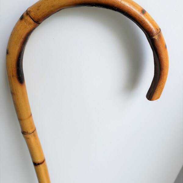 Carnival Barker Cane - Etsy