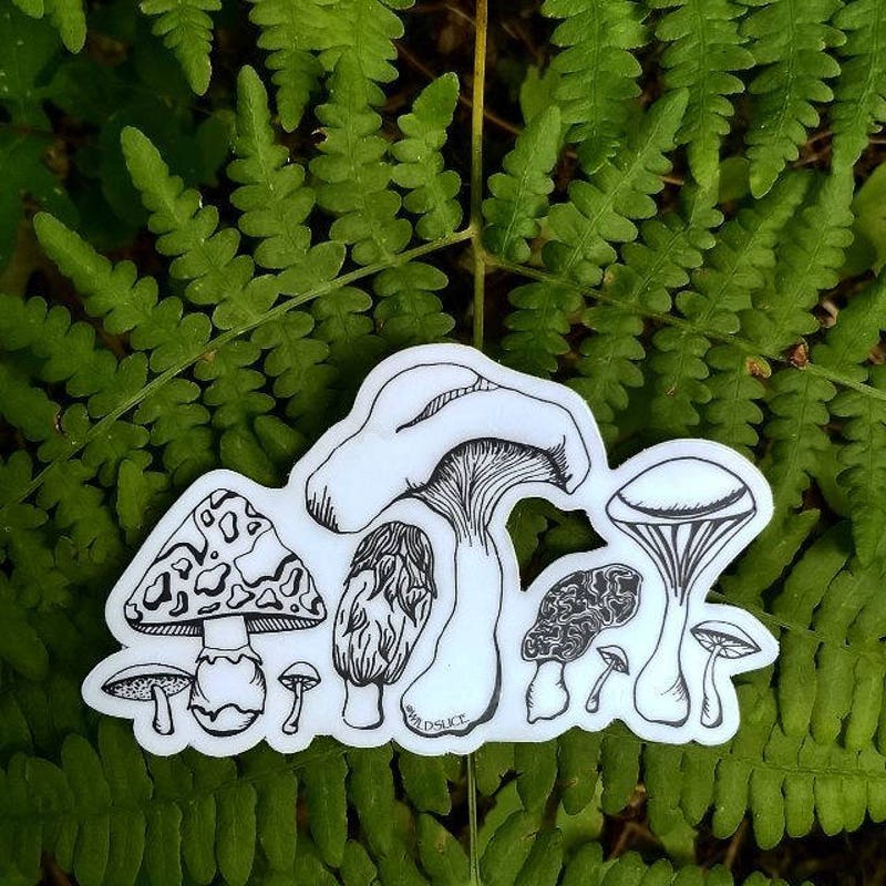 Mushroom Wall Decals - Etsy