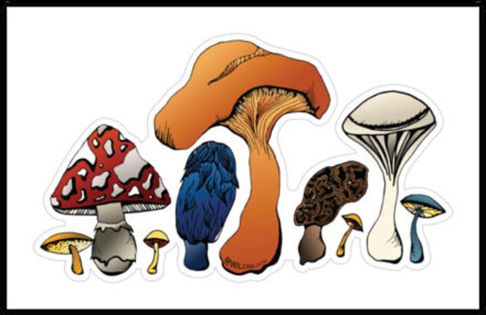 Mushroom Weatherproof Vinyl Sticker Decal. Bumper Sticker, Waterbottle ...