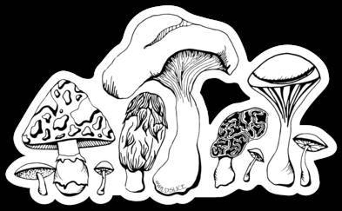 Mushroom Sticker 3" Weatherproof Vinyl Sticker Decal, Waterbottle, Art ...